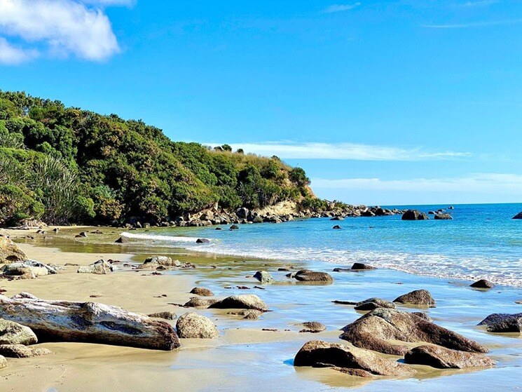 Top 5 New Zealand Beaches on a Motorhome Road Trip