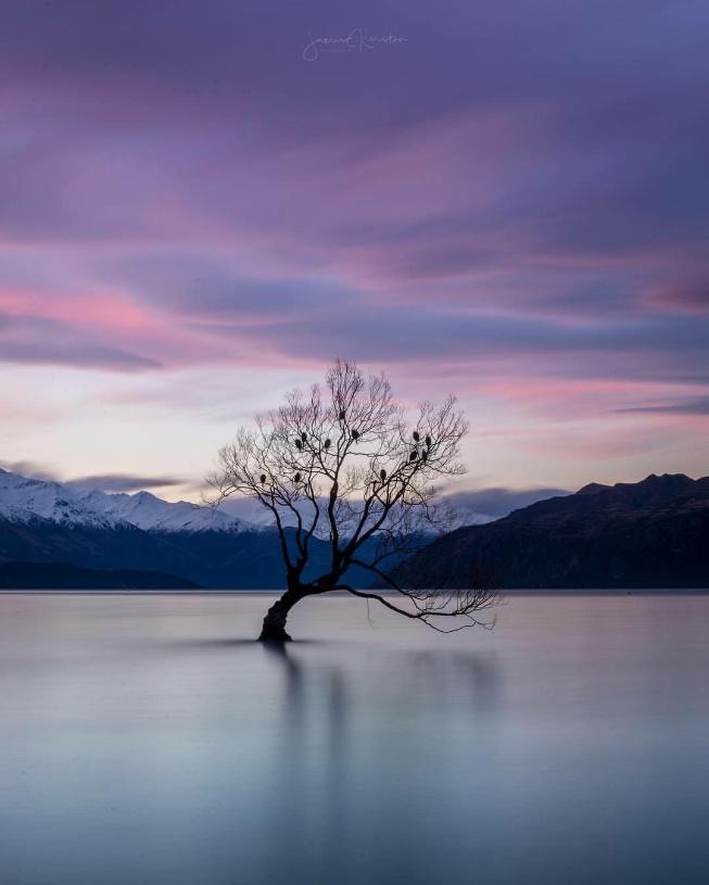 Top Photography Spots on NZ's South Island